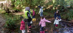 Koad ar Stivell miz Here - Skol Diwan Louaneg