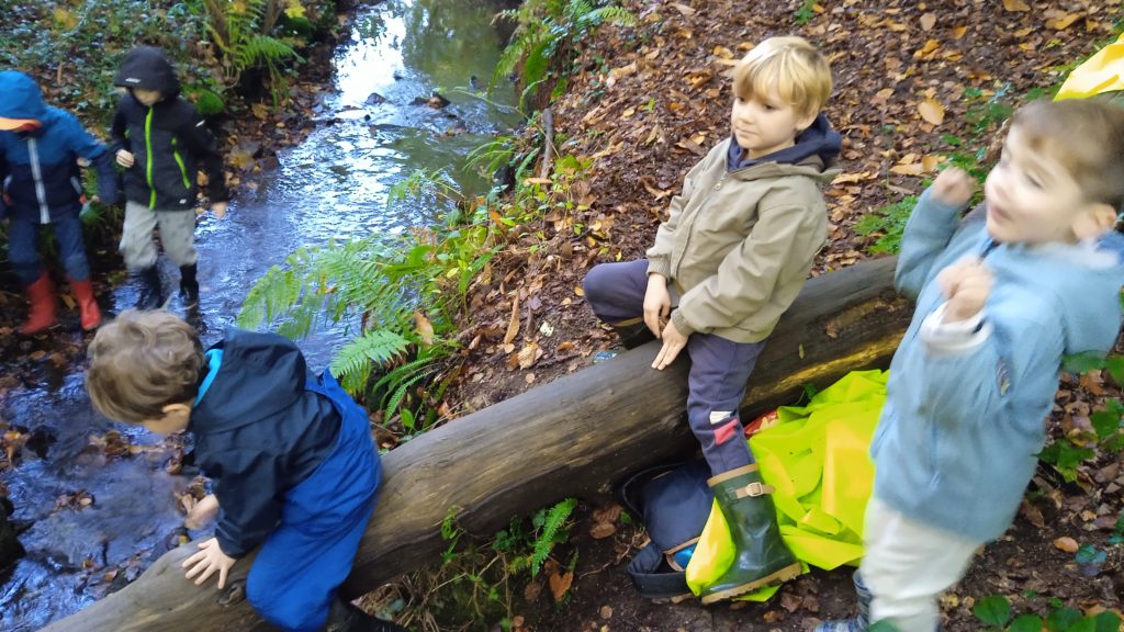 Koad ar Stivell miz Here - Skol Diwan Louaneg